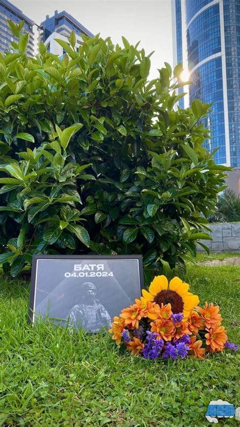 World Military ანალიტიკა World Military ანალიტიკა