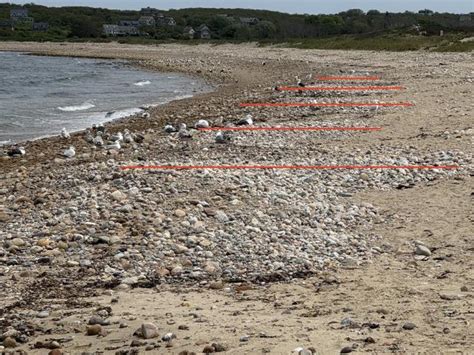 Interference Of Ocean Waves Shelterphysics