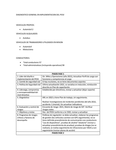Diagnostico Gral Del Pesv Diagnostico General En Implementacion Del