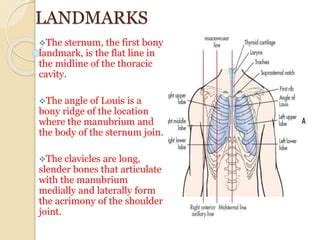 Presentation Of Respiratory Systempptx