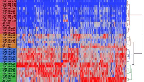 Two Way Clustering Of Spectral Count Data From Sds Insoluble Fractions