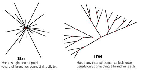 Nested Hierarchies Tree Of Life The Skeptical Zone