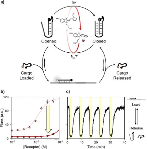 A Light Activated Control Over A Dna Based Nanomachine For The