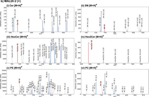 Extracted Orbitrap Mass Spectra Averaged Over Entire Mouse Brain Tissue