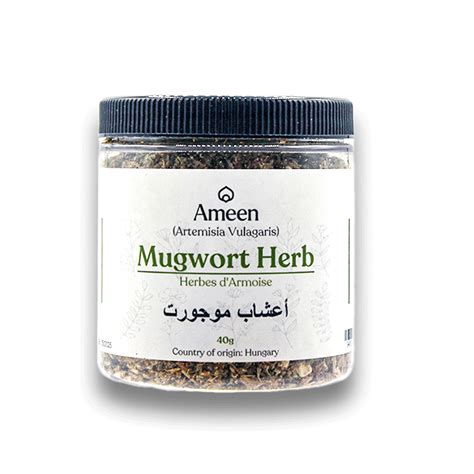 Mugwort Herb Ameen