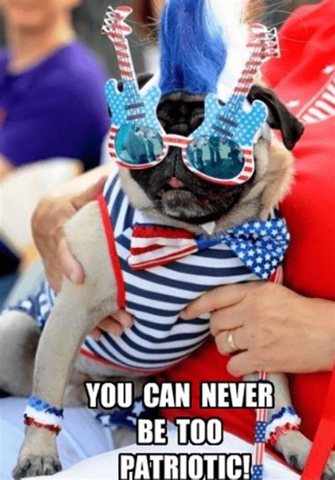 50 Funny 4th Of July Memes And Independence Day Quotes To Share Funny
