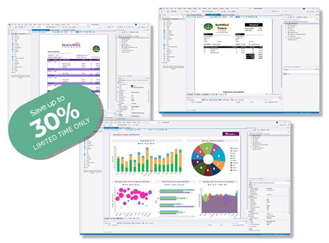 Visual Studio Report Designer Net Ide Reporting Tool Activereports