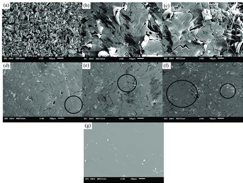 Sem Micrographs Of A Pre Sintered Mg Zn Ca Powder Spark