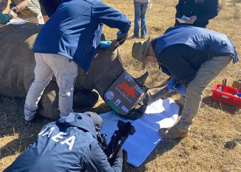 Nuclear Science And Nuclear Security Infrastructure To Protect Rare