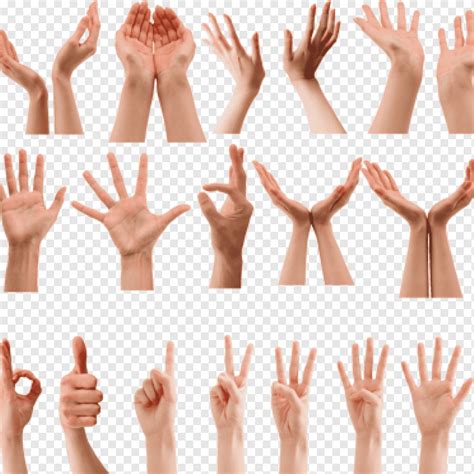 제스처 그림 기호 비언어적 의사 소통 수화 손 사진술 팔 손 모델 Png Pngwing