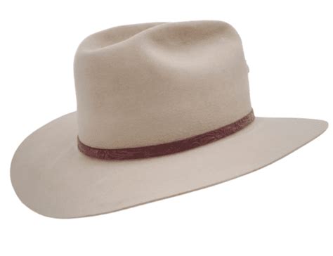Raylan Wild Hats
