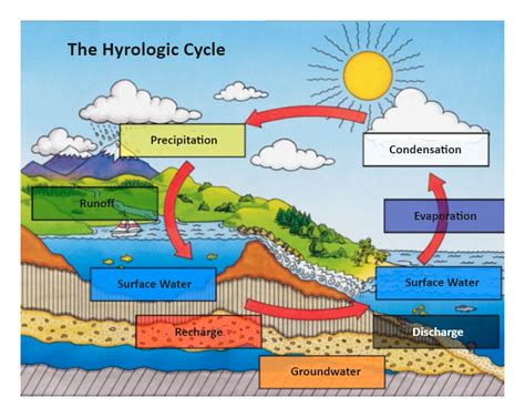 Water Cycle Labeled Edrawmax Template
