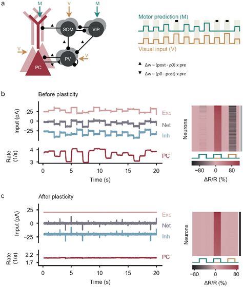 figures and data in learning prediction error neurons in a canonical