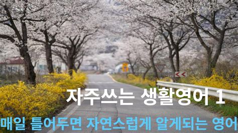 자주 쓰는 생활영어①자연스럽게 듣기만 하세요부드러운 목소리자동암기듣기영어수면영어koreanenglishconversation In Korean Youtube