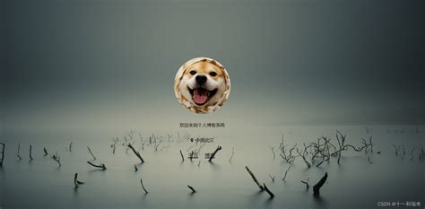 基于jspservletmysql实现的个人博客系统（附源码及教程）blog Jsp Servlet Mysql Csdn博客