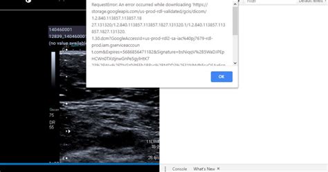 request error an error occurred while downloading signedurl