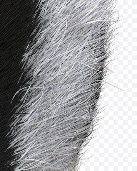 6 From Zebra Font On Yellow Images Creative Fonts S23985