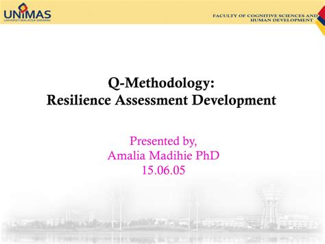 PDF Q Methodology