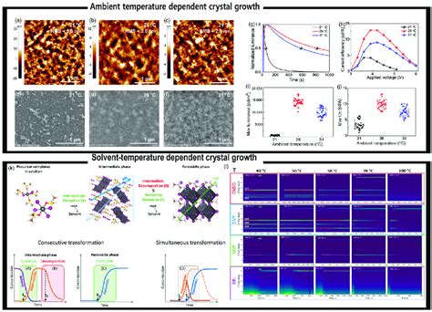 Temperature Dependent Crystal Growth Temperature Dependent Crystal