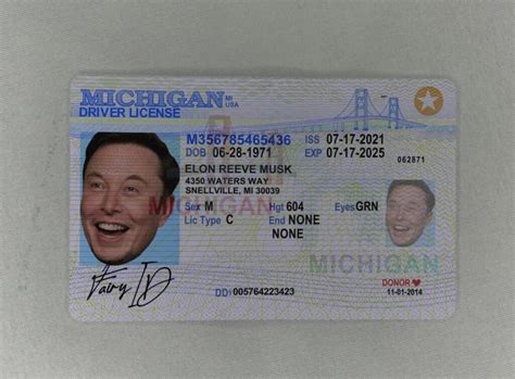 What Does A Real Id In Michigan Look Like At Gordon Beers Blog
