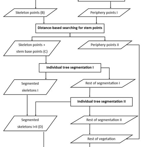 workflow diagram for individual tree segmentation using download