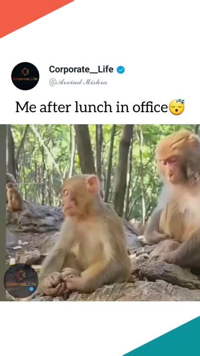 Ankit Garg Posted On Linkedin