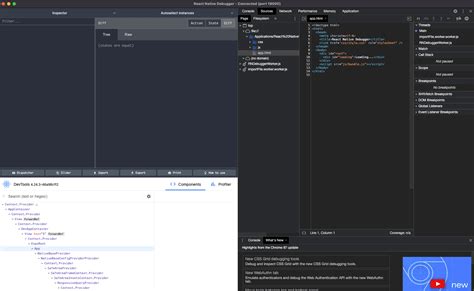 React Native Debugger で「 Devtools Bug Cannot Add Node 1 Because A