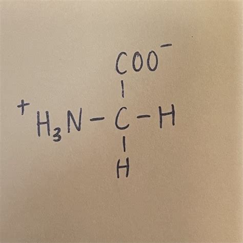 Amino Acids Flashcards Quizlet Amino Acids Flashcards Quizlet