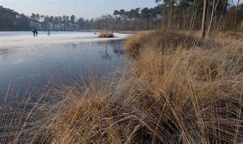 Bezoekerscentrum Oisterwijk Bezoekerscentrum Natuurmonumenten