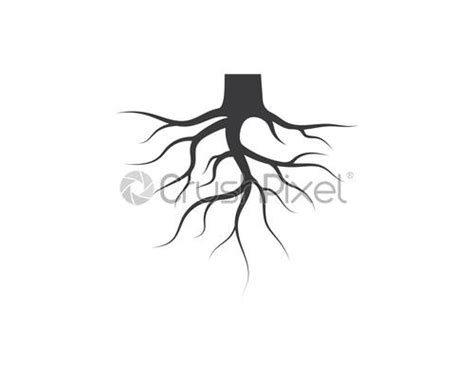 Tree Roots Vector Icon Illustration Design Stock Vector Crushpixel