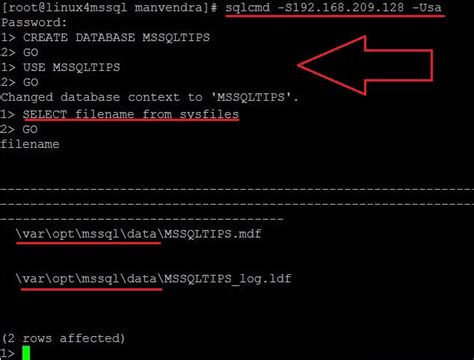 How To Change Default Data And Log File Directory For Sql Server Running On Linux