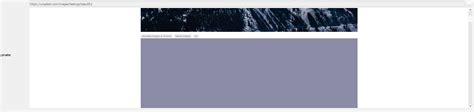 Qgis Web View Widget Does Not Load Images Properly · Issue 43163