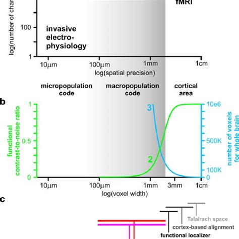 Complementary Activation And Information Based Fmri Analysis Tools