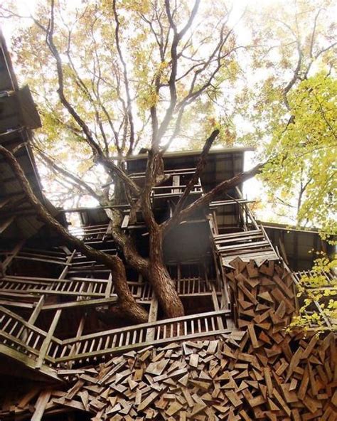 A Tree House On The Hill
