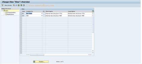 RM SAP Tcode RM Views Transaction Code