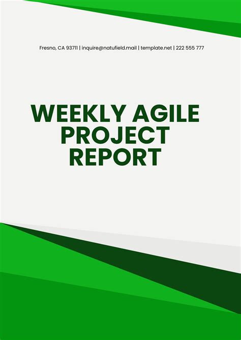 free bi weekly report template to edit online
