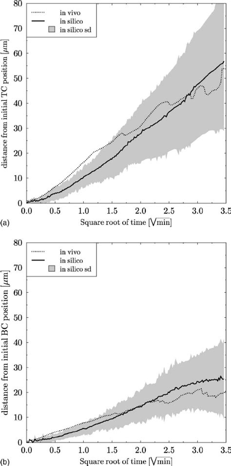The Progress Of Displacement From The Initial Position Averaged Over TC Download Scientific