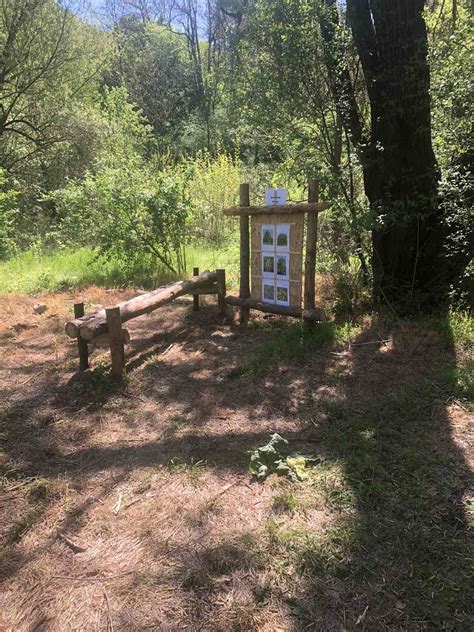 Туристическо Туристическо Дружество Бонония гр Видин