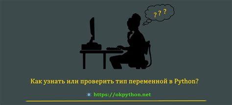 Как узнать или проверить тип переменной в Python