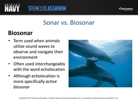 PPT Sonar And Echolocation Subject Topics Physics And Biology PowerPoint Presentation ID