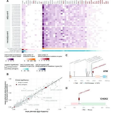Somatic Mutational Patterns Statistical Patterns Of All Somatic