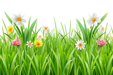 Cartoon Green Grass Flowers Download, Grass, Flowers, Spring Decoration PNG Transparent Image ...
