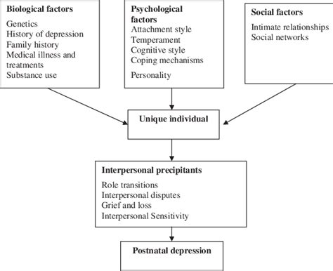 The Ipt Model Of Postnatal Depression Adapted From Stuart And Robertson Download Scientific