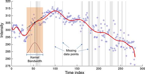 Robust Preprocessing For Stimulus Based Functional Mri Of The Moving Fetus