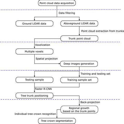 An Overview Of The Workflow For The Individual Tree Segmentation Method