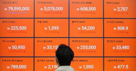 Etf 날개 단 비트코인 이제 주류됐다 기관 대거 유입 암호화폐 다시 고공행진