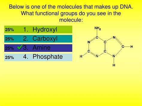 PPT DNA Molecules Structure Functions And Pairing PowerPoint Presentation ID 2787457