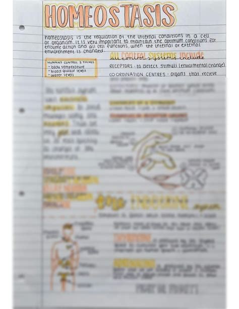 SOLUTION Gcse Biology Revision Notes Aesthetic Studypool