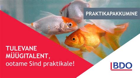 Anu Prandi On Linkedin Praktikapakkumine Tulevasele Müügitalendile