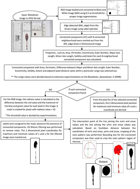 Block Diagram Of The Algorithm Used For Detecting The Region Of Download Scientific Diagram